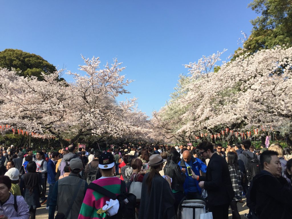 Master Japanese - Japanese Sensei